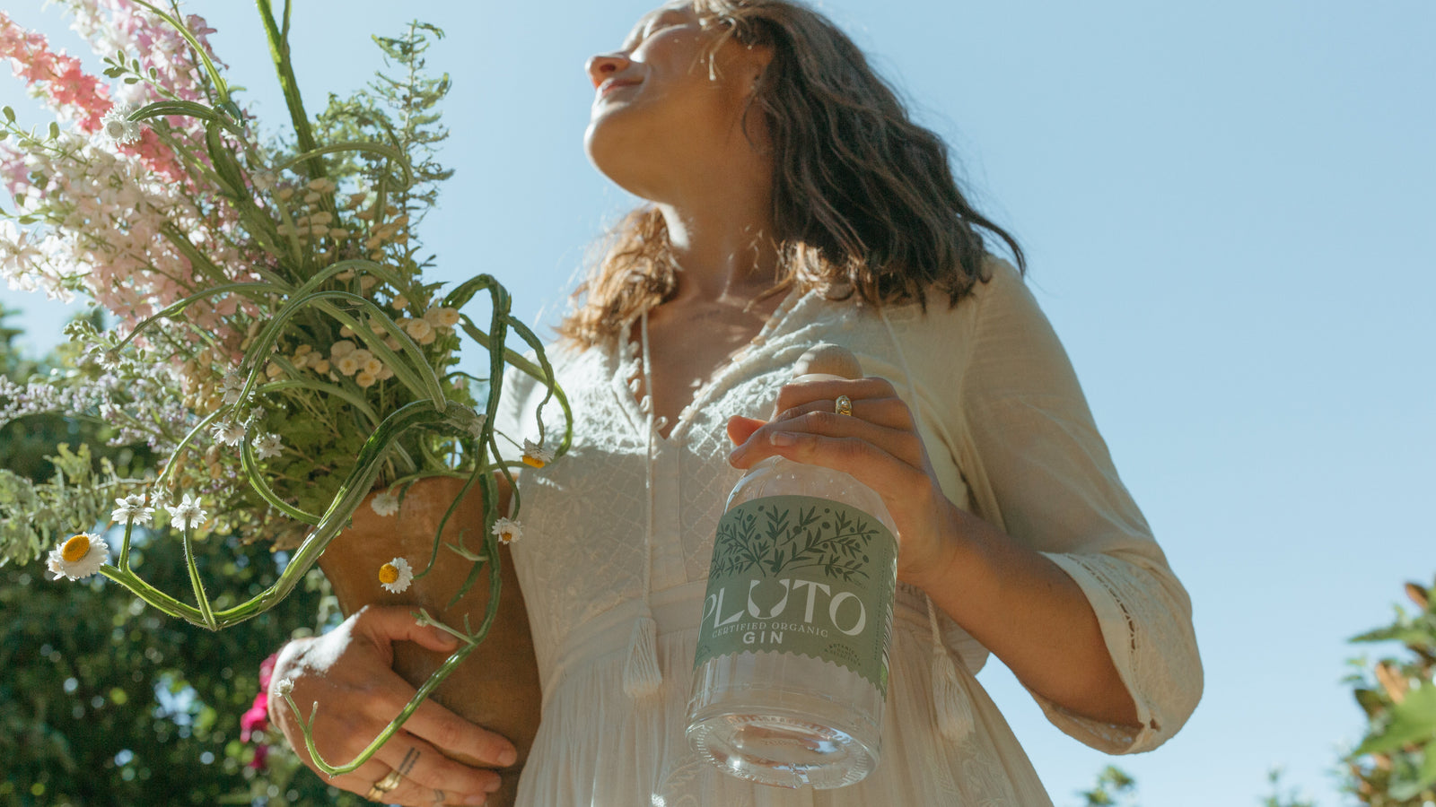 Pluto Spirits - Organic distillery