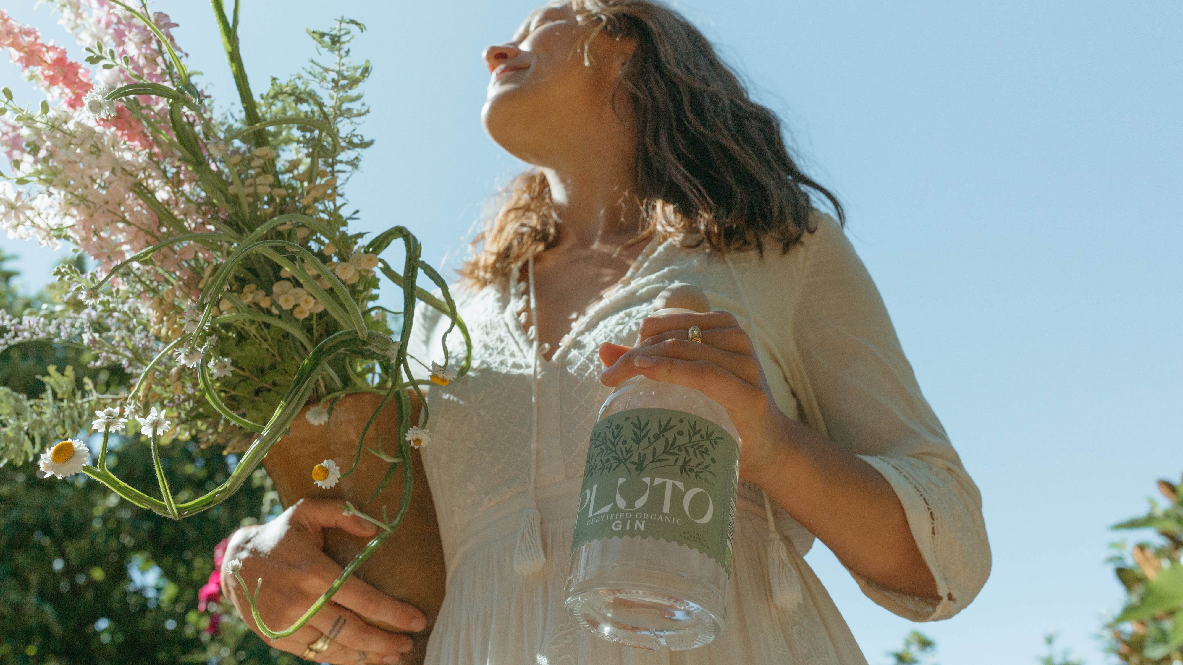 Pluto Spirits - Organic distillery